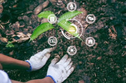 Agri Supply Chain Management Software: An Ultimate Guide